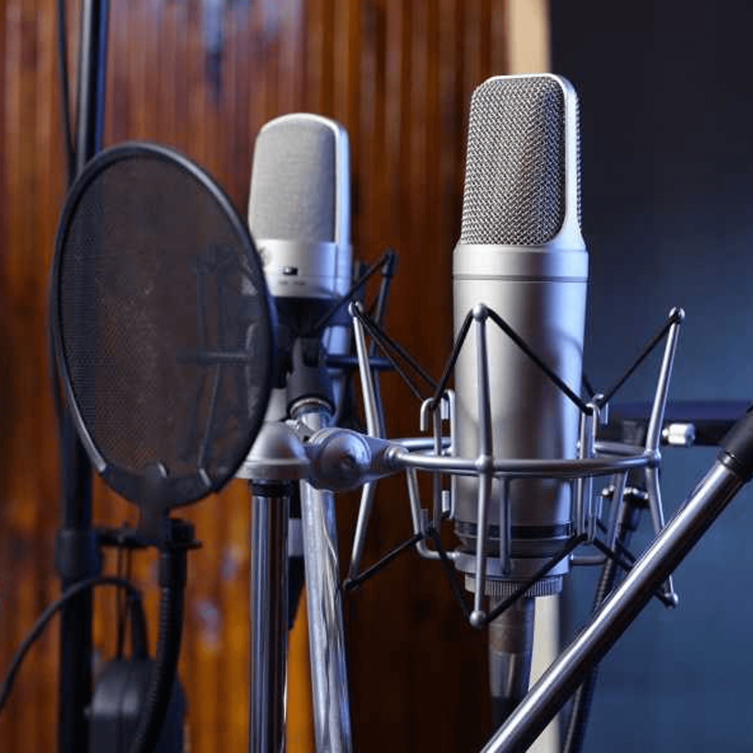 Micrófonos | Gearhub 🌶️