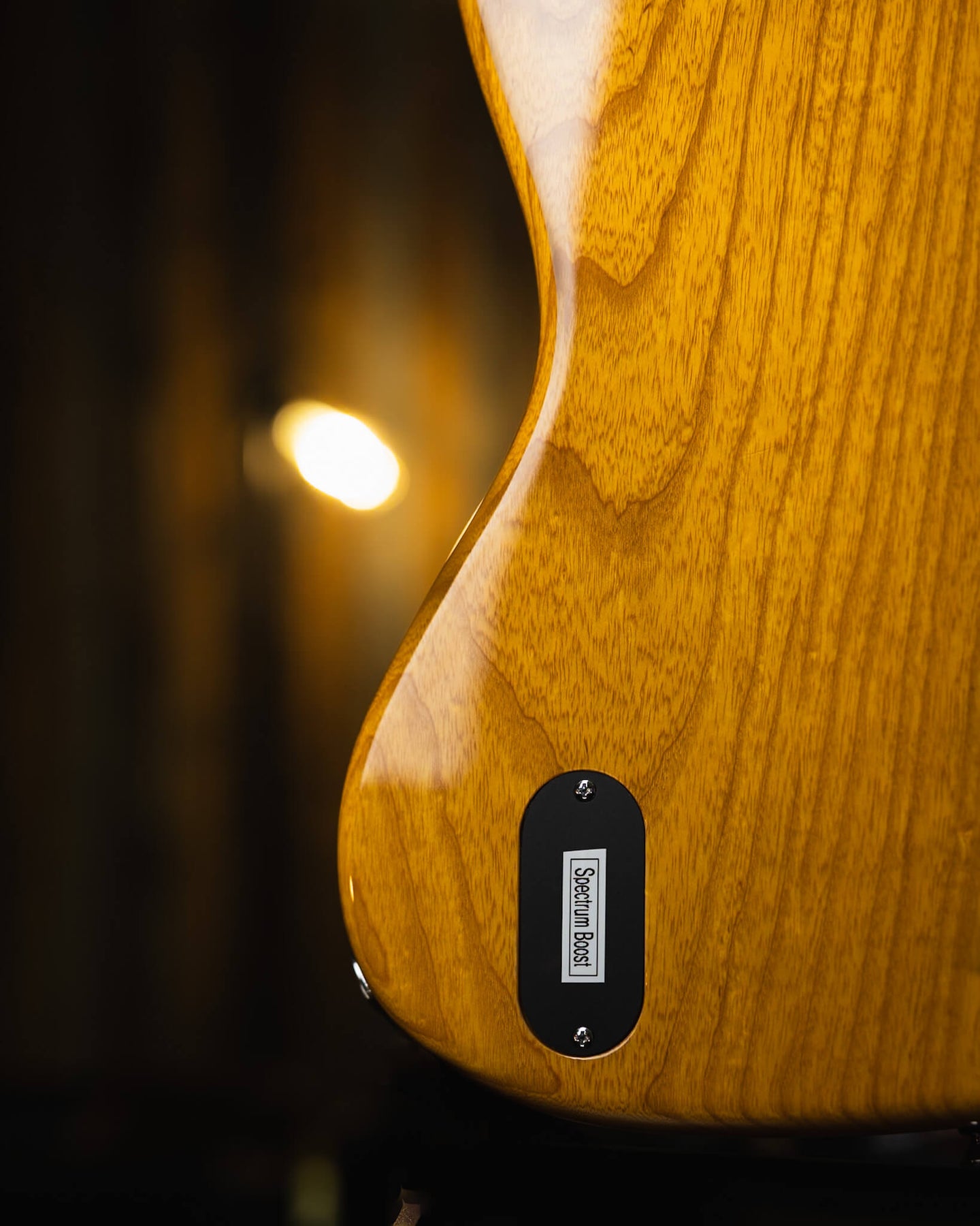 Atelier Z M245'70 Plus Vintage Natural 2024 -Bajo Eléctrico – Gearhub