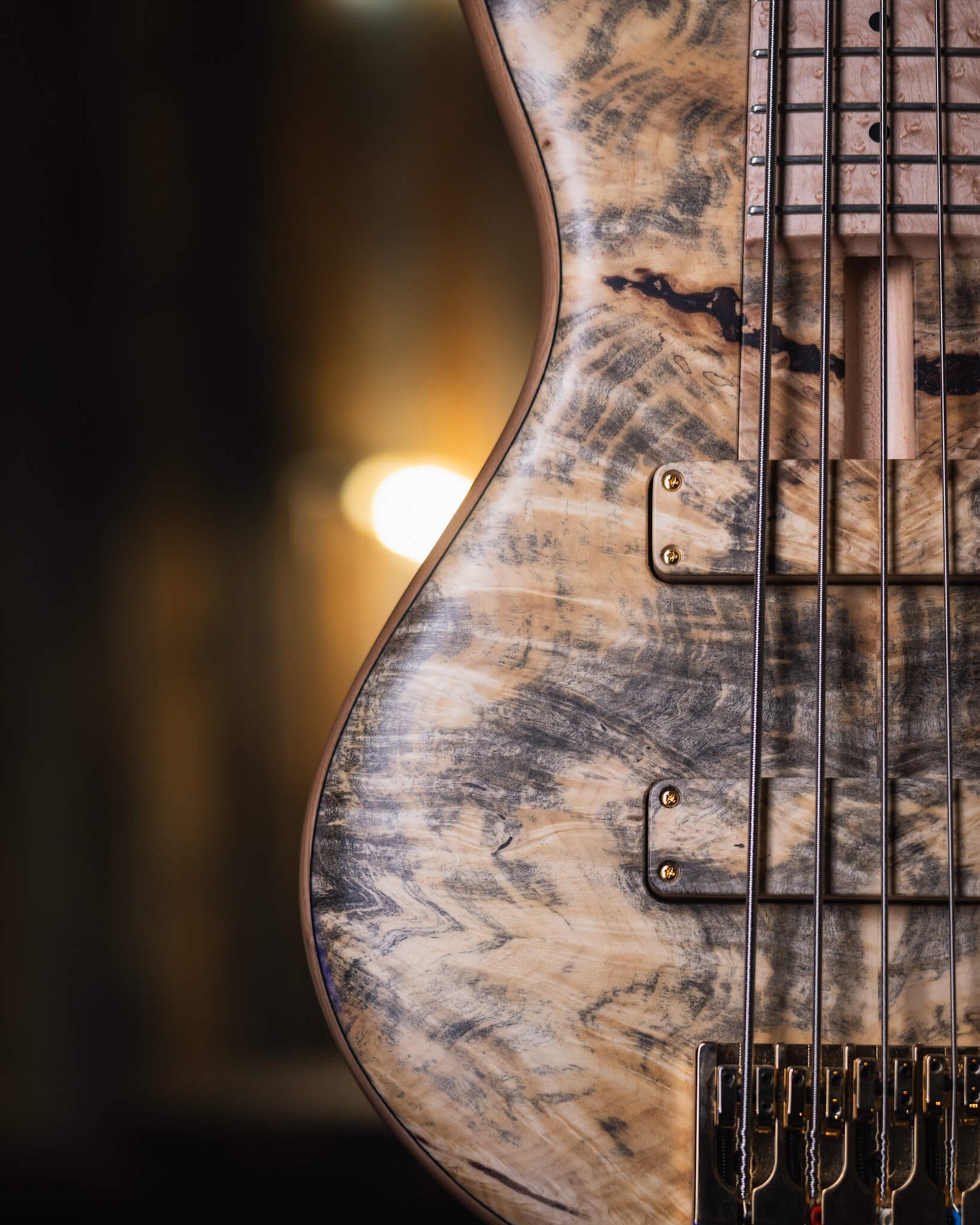 F Bass BN5 Buckeye Burl 2022 - Bajo Eléctrico | Gearhub 🌶️