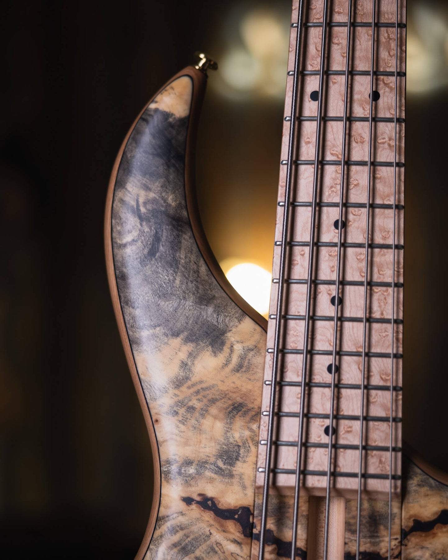 F Bass BN5 Buckeye Burl 2022 - Bajo Eléctrico | Gearhub 🌶️