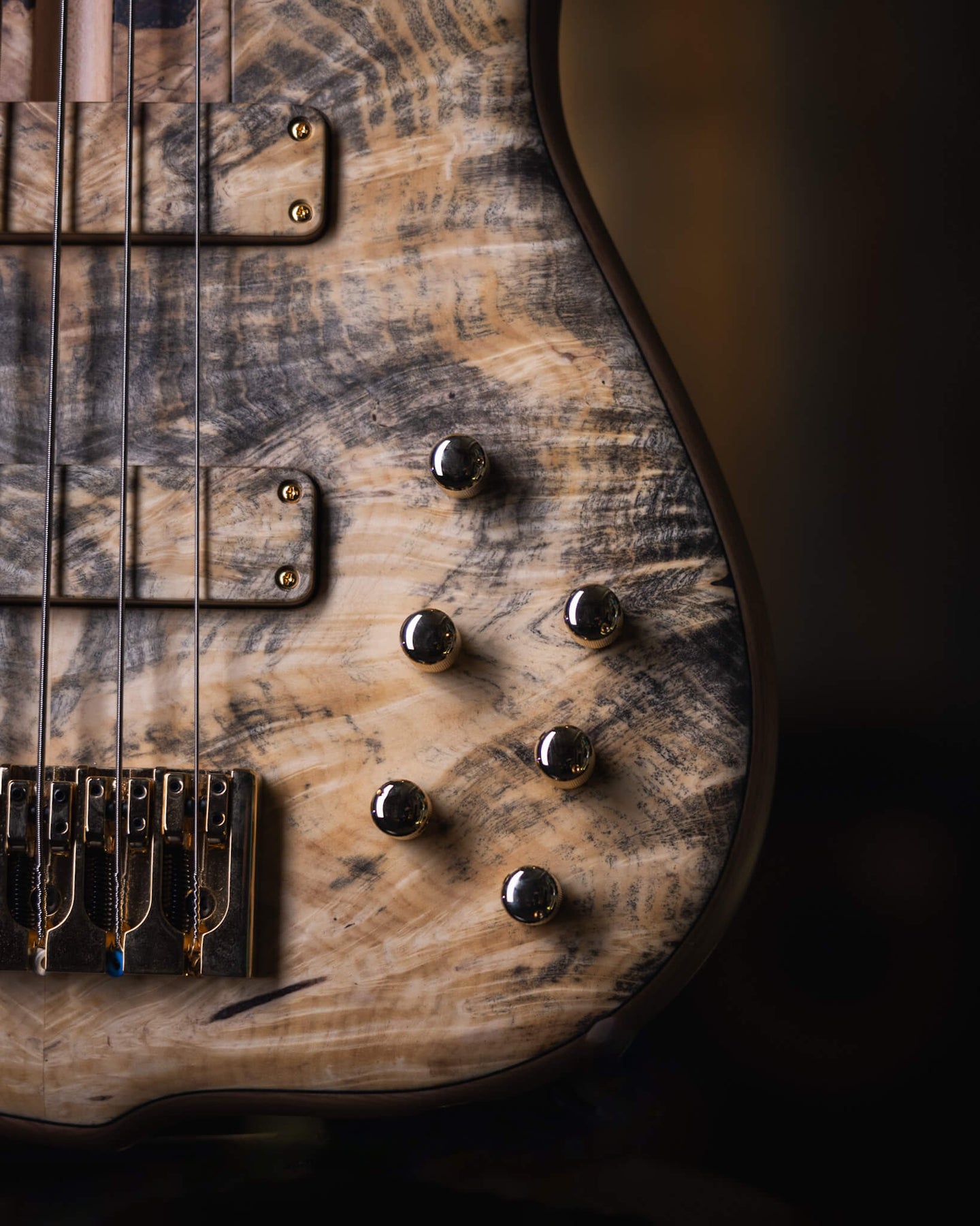 F Bass BN5 Buckeye Burl 2022 - Bajo Eléctrico | Gearhub 🌶️