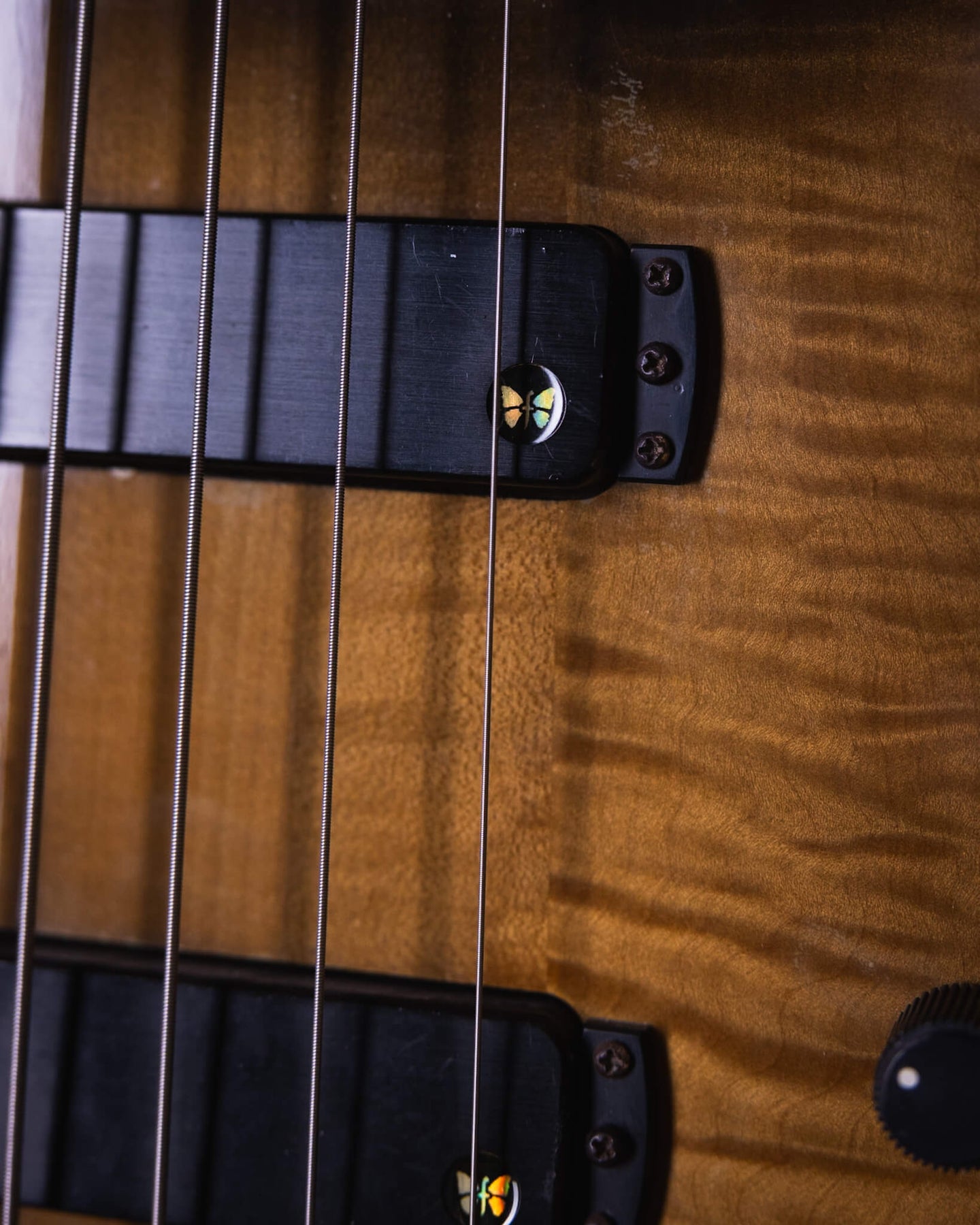 Fodera Contrabass 6 Elite Curly Maple Gloss Burst '95 - Bajo Eléctrico – Gearhub